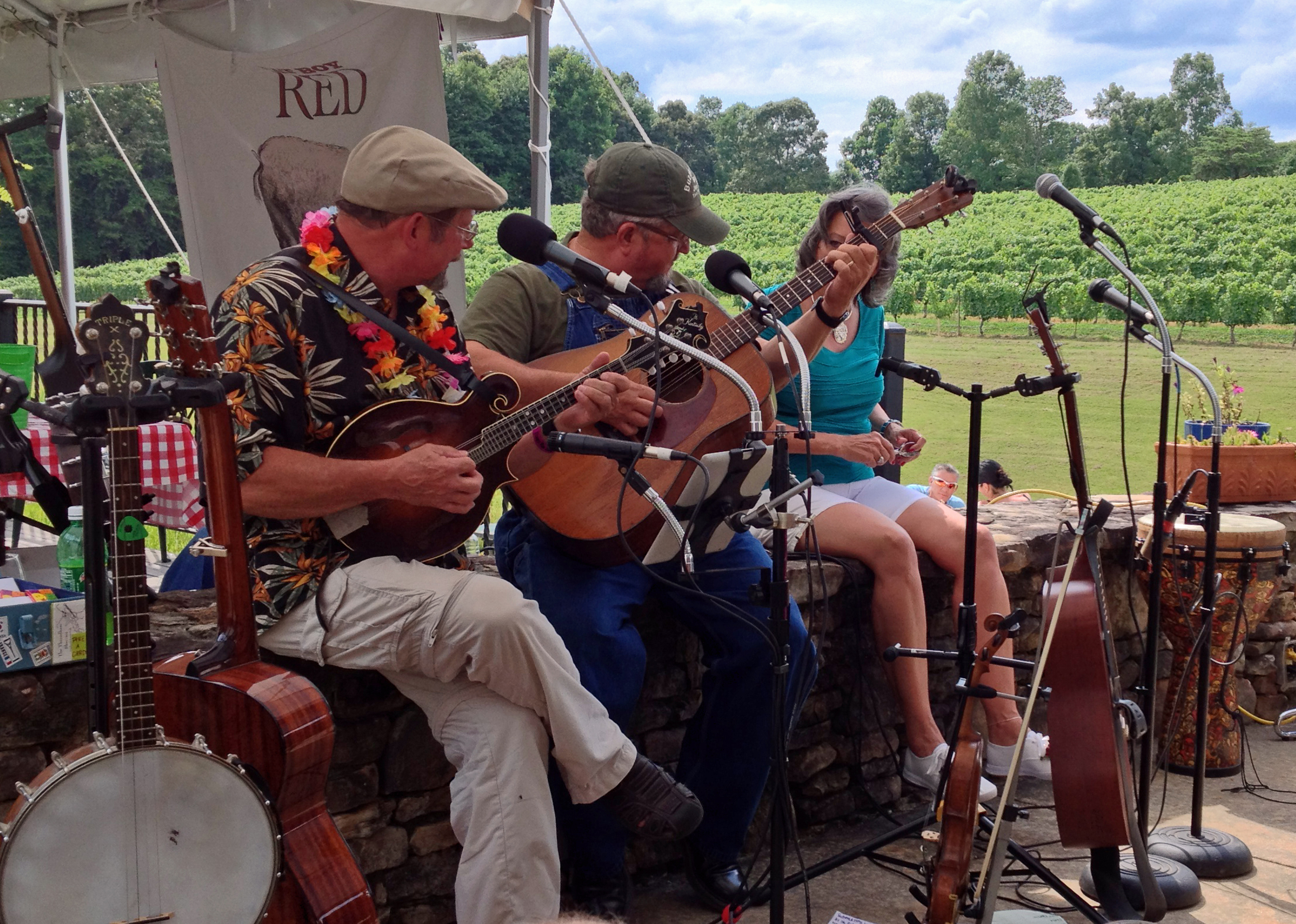 Nappalachia Music | Official Georgia Tourism & Travel Website | Explore ...