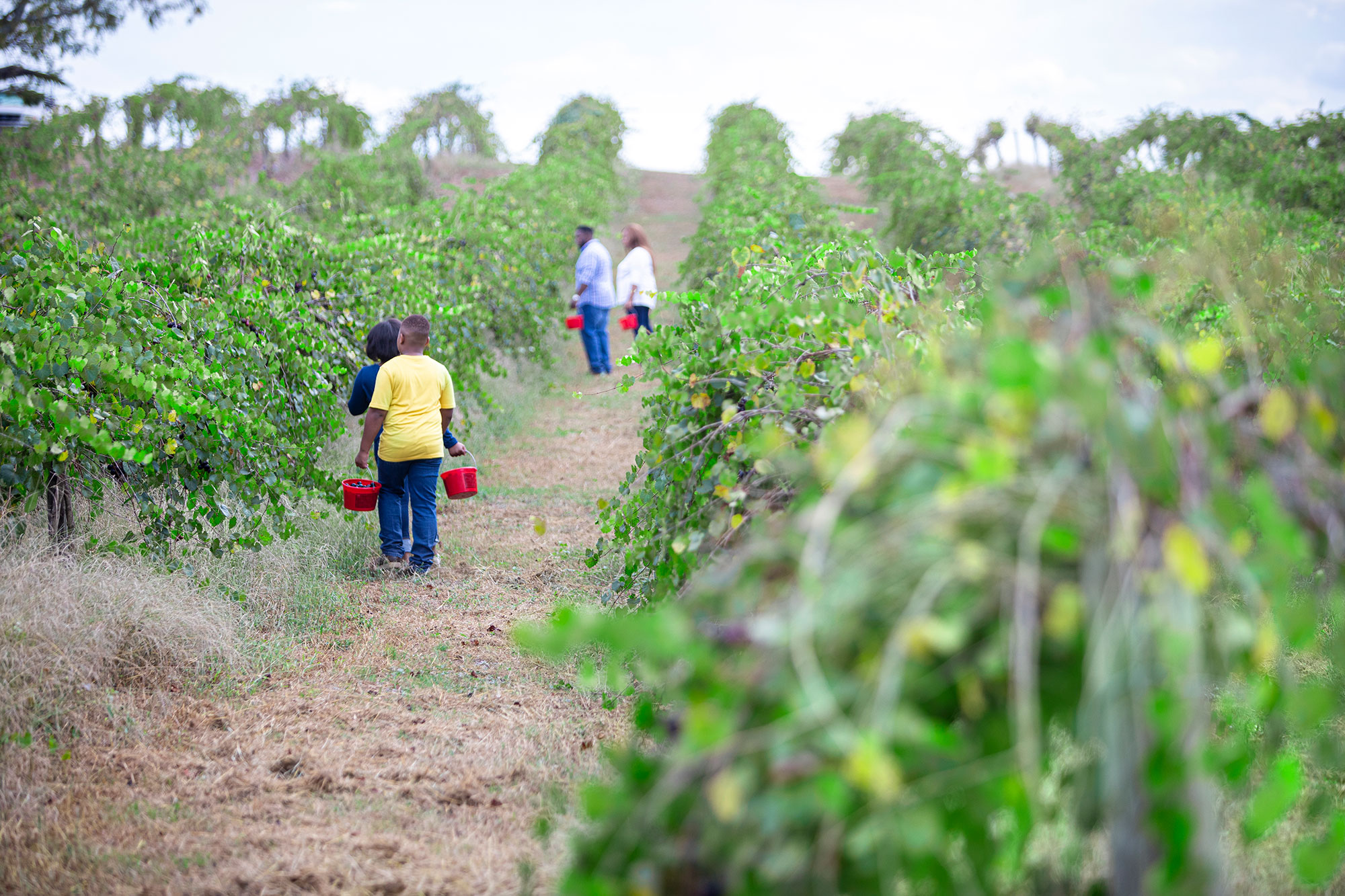 Best Things to Do in South Georgia | Explore Georgia