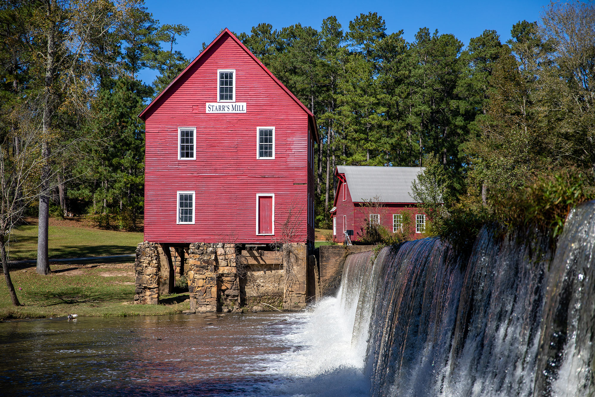 Presidential Pathways | Explore Georgia