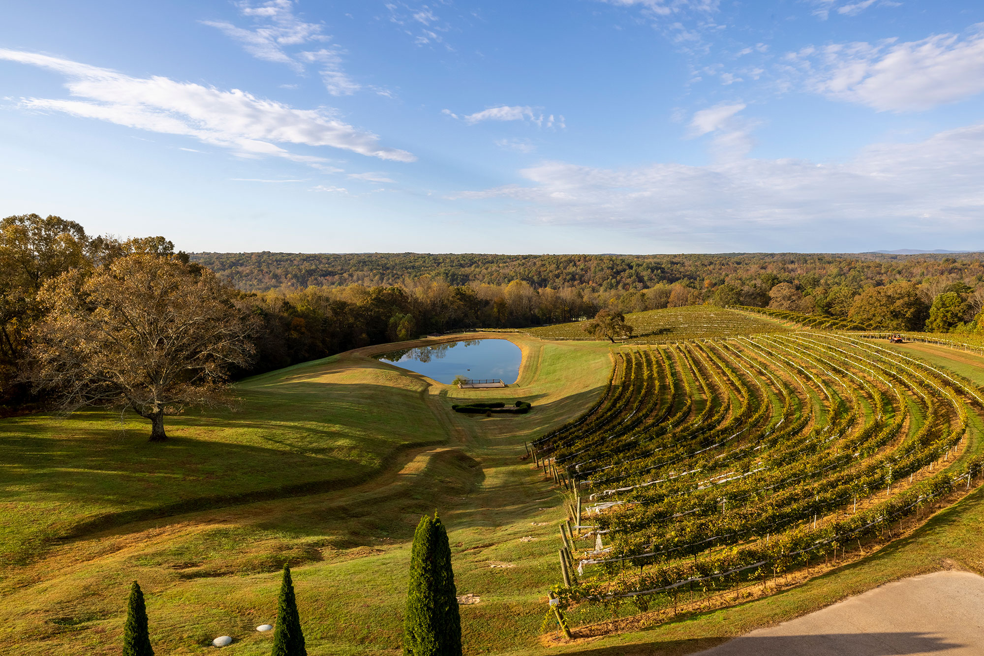 Spend a Romantic Weekend at These North Georgia Wineries | Official ...