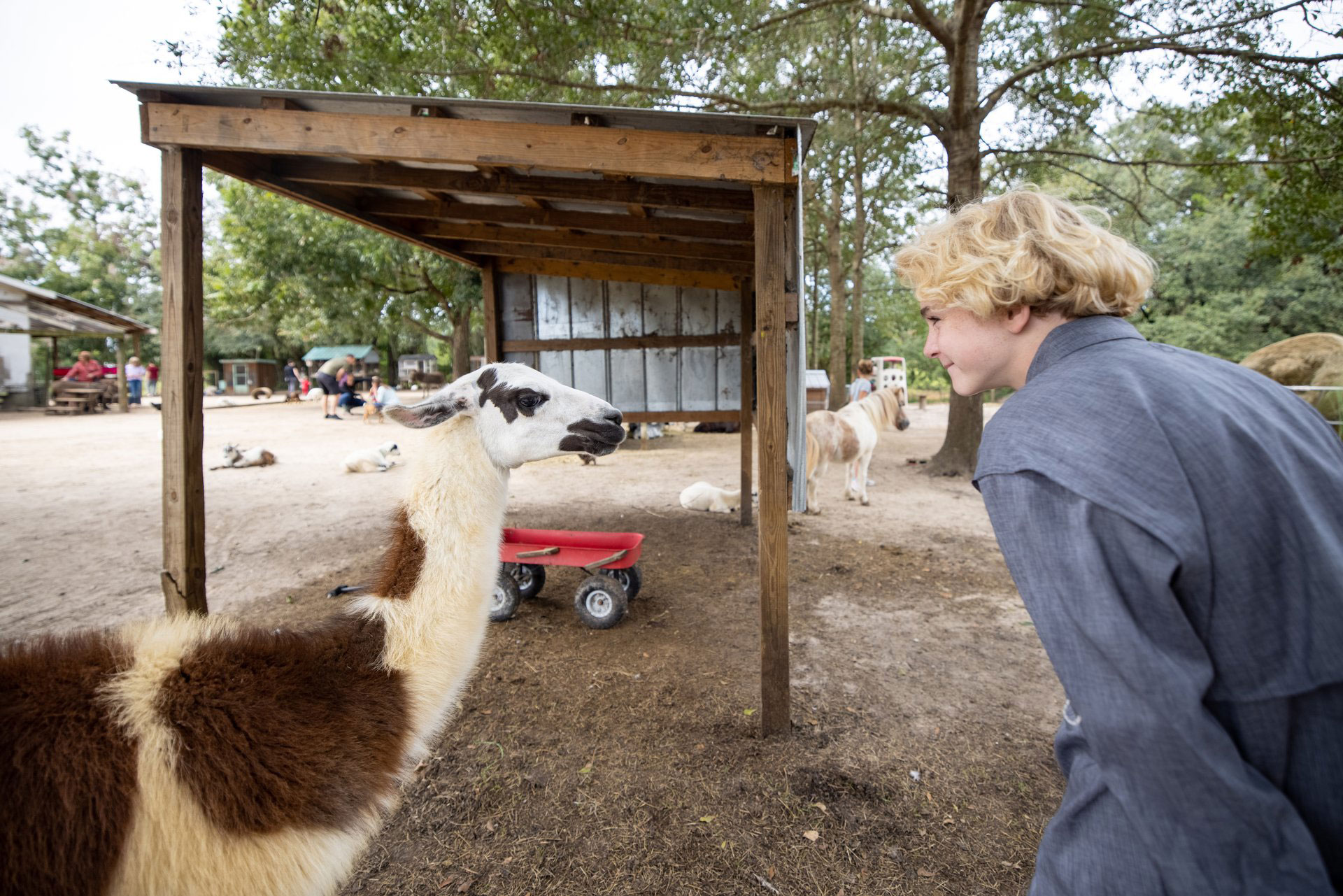 Where to "Talk to the Animals" in Georgia | Explore Georgia