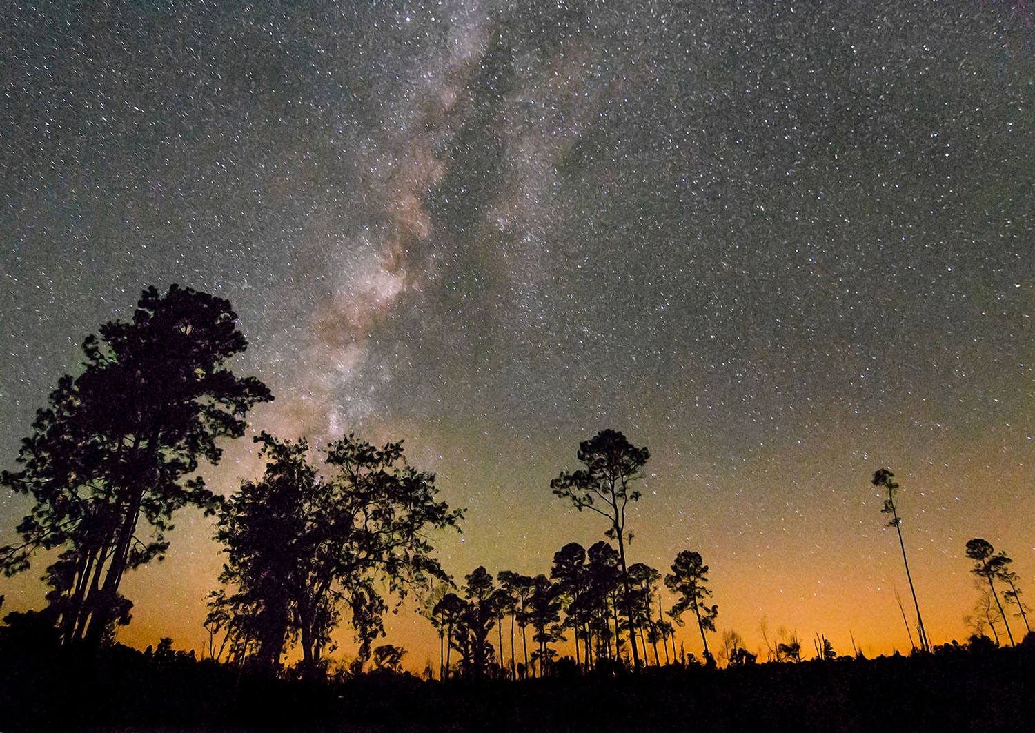 5 Amazing Screen-Free Getaways in Georgia | Explore Georgia