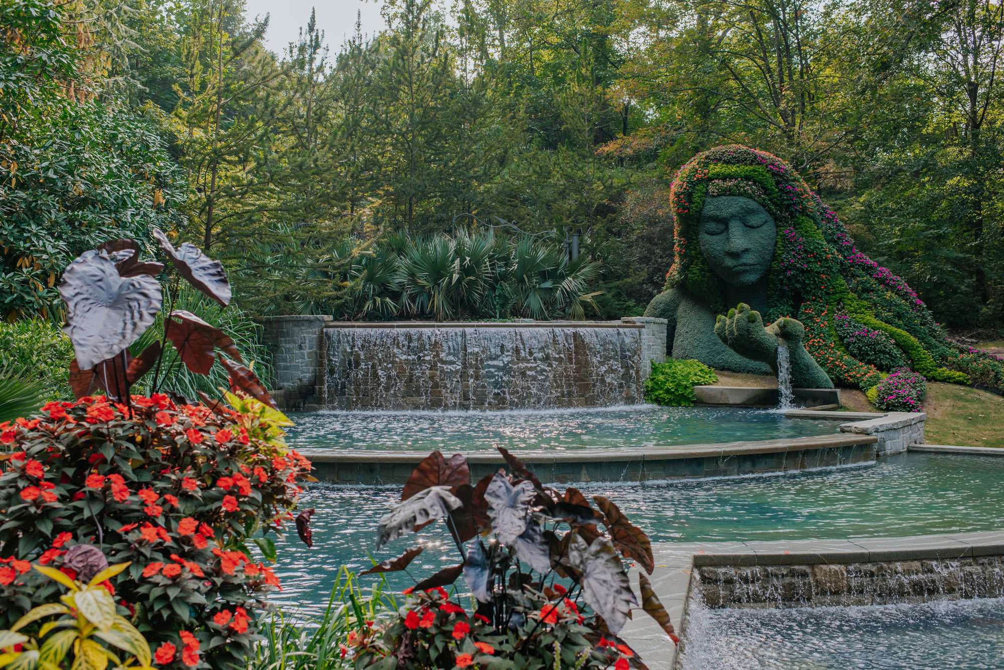 Celebrate Earth Day in Georgia | ExploreGeorgia.org