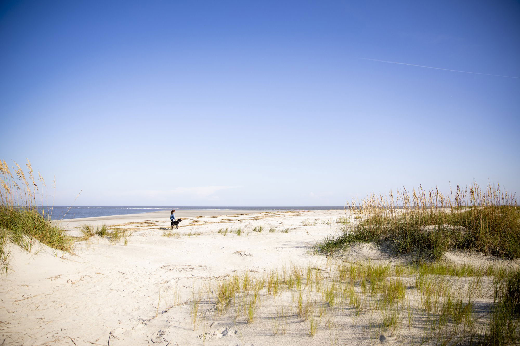 9 Georgia Spring Break Trips for Grown-Ups | Explore Georgia