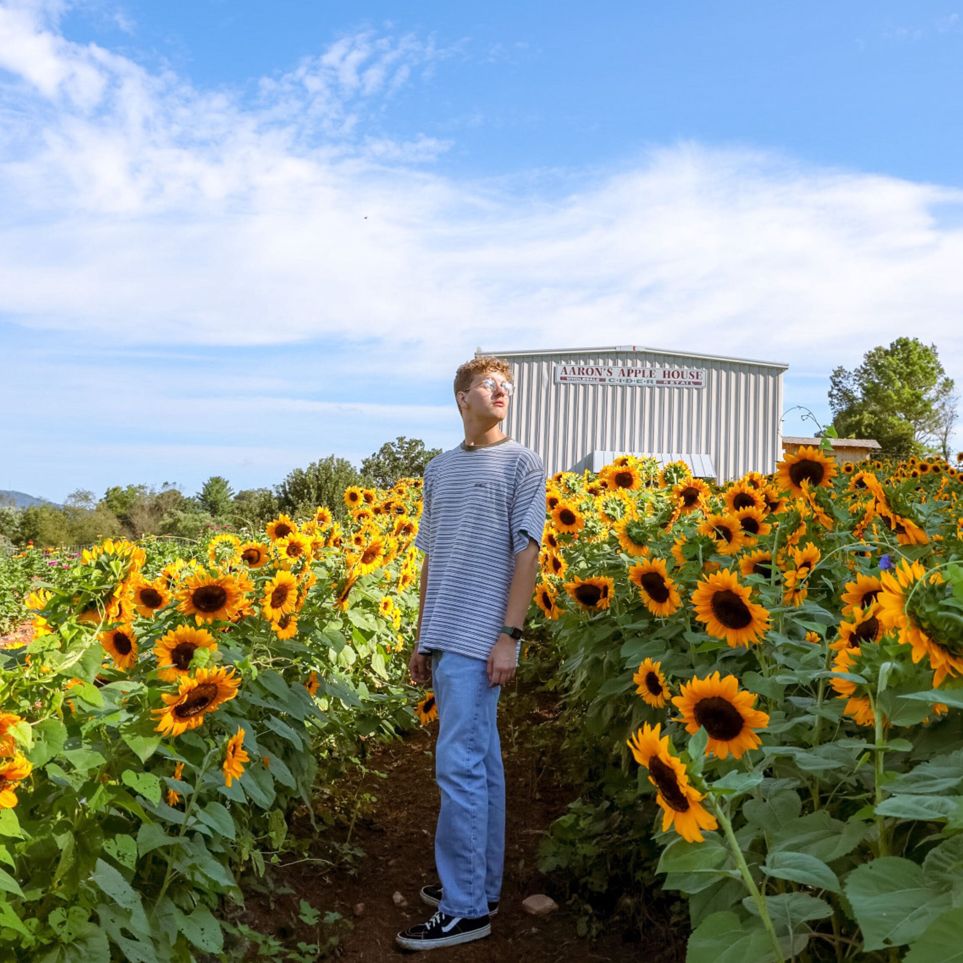 Ellijay Apple Festival 2026: A Must-Visit Event for Apple Lovers!