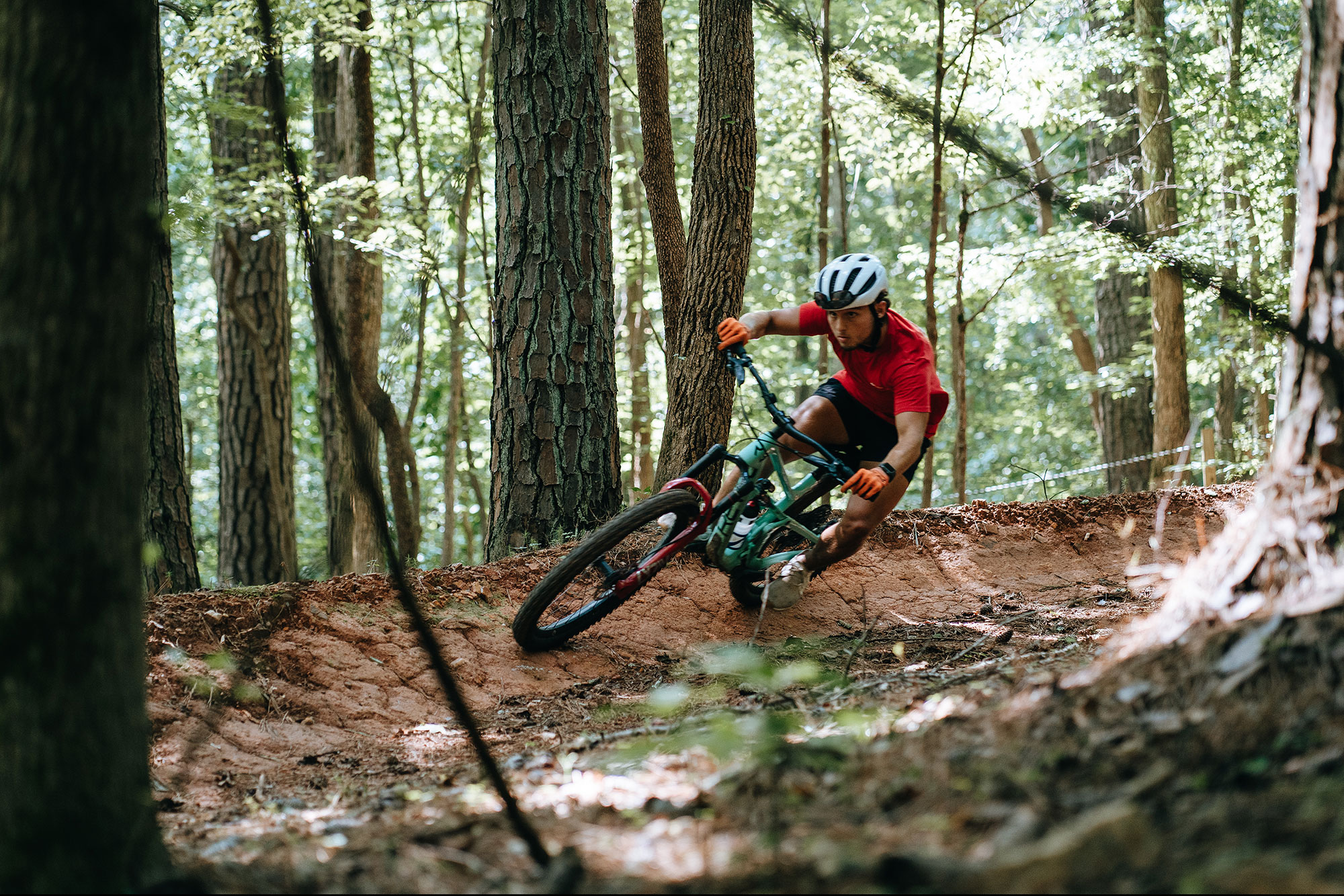 Choose Your Own Georgia Adventure | Explore Georgia