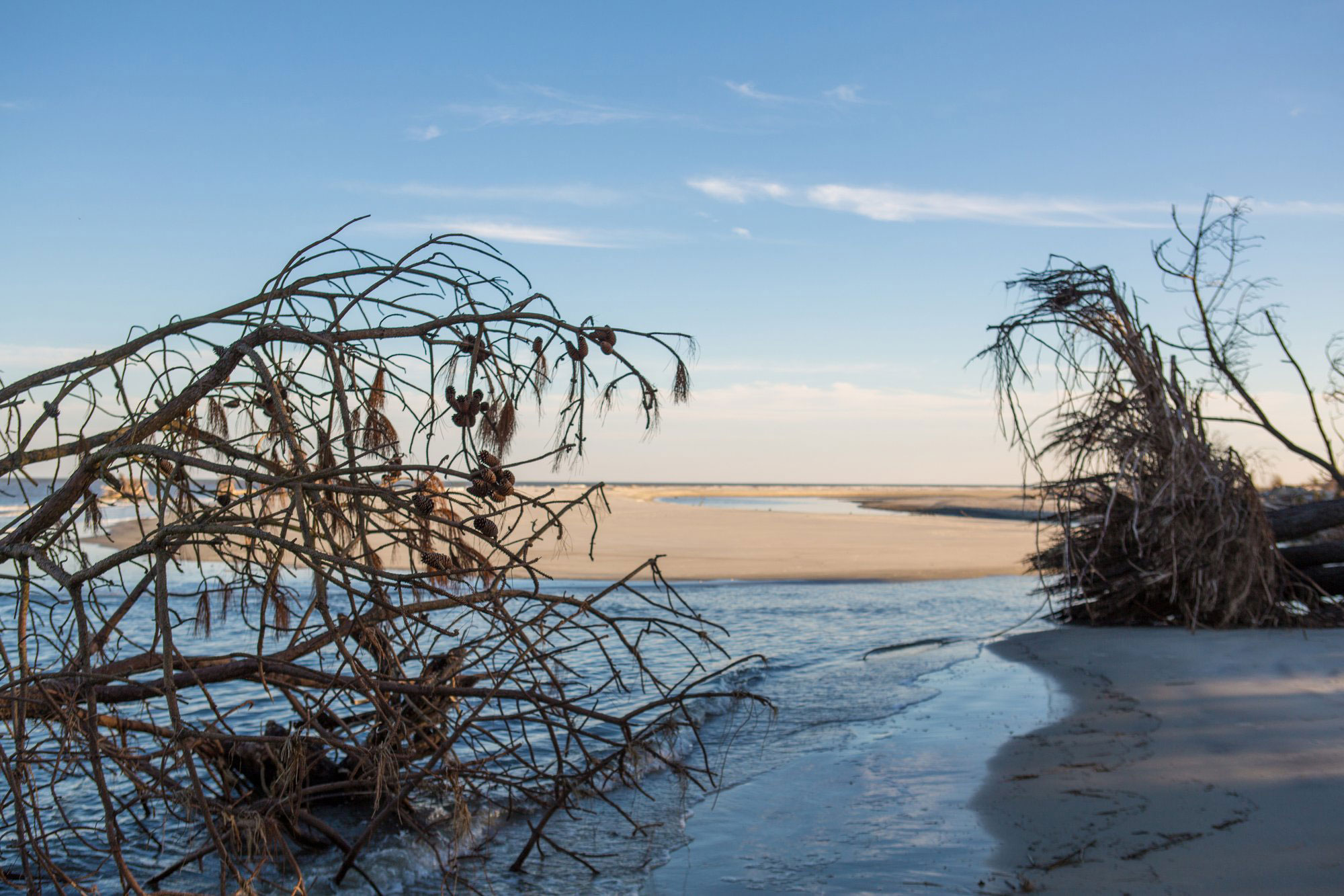 Uncover Gullah Geechee Heritage on Sapelo Island | Explore Georgia