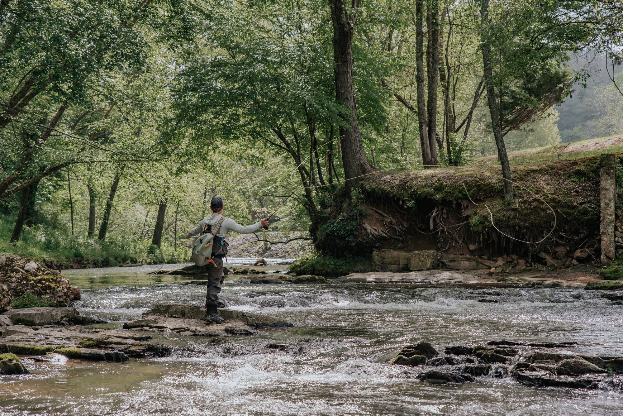 Best Electric Vehicle Road Trips in the North Georgia Mountains ...