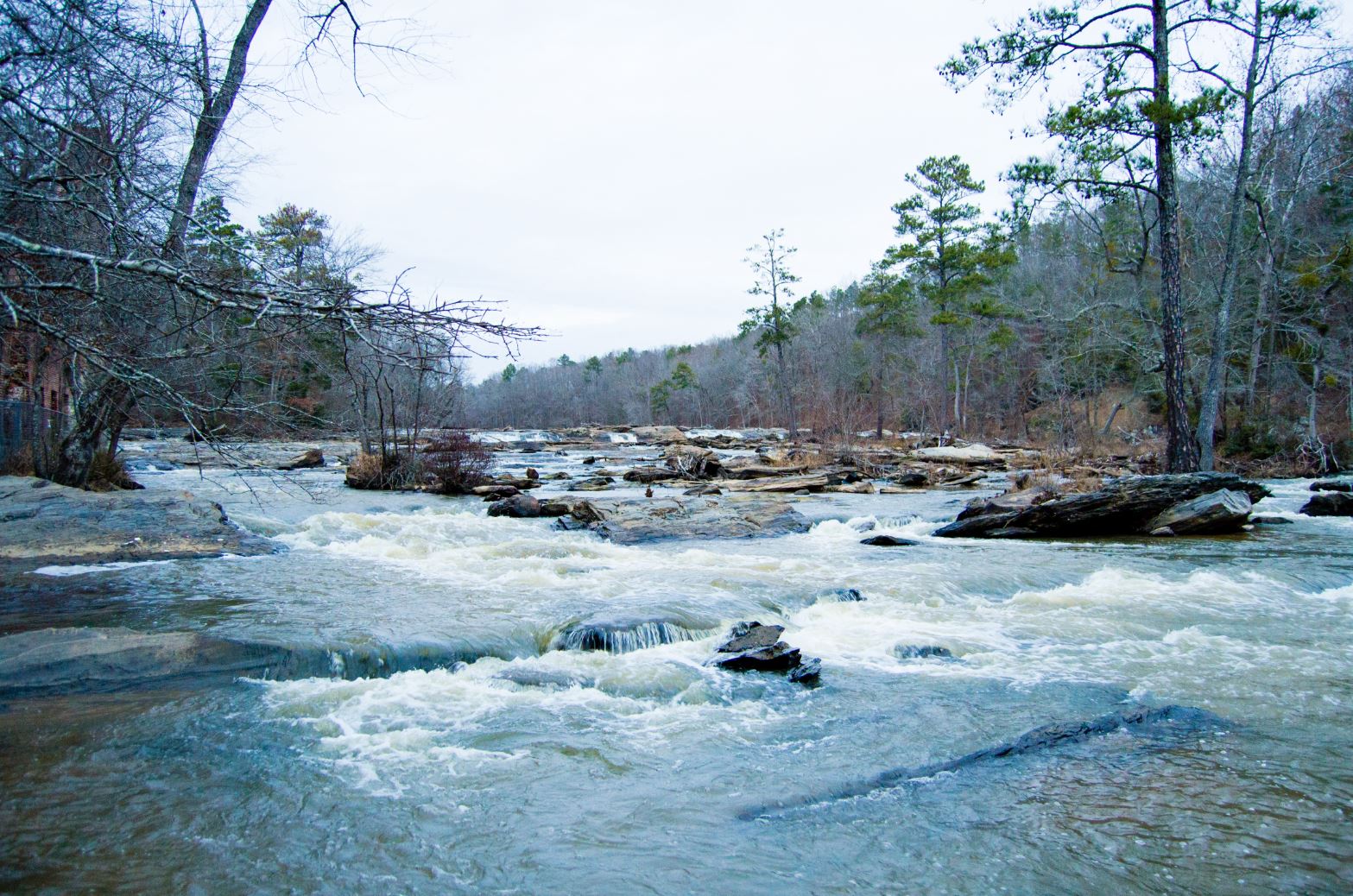 10 Amazing Pictures of Last Night’s Georgia Sunset | Explore Georgia