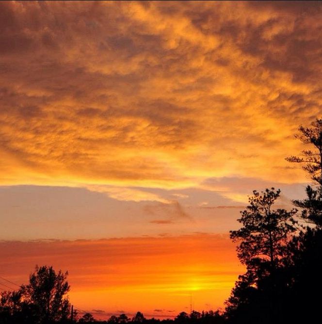 10 Amazing Pictures of Last Night’s Georgia Sunset | Explore Georgia