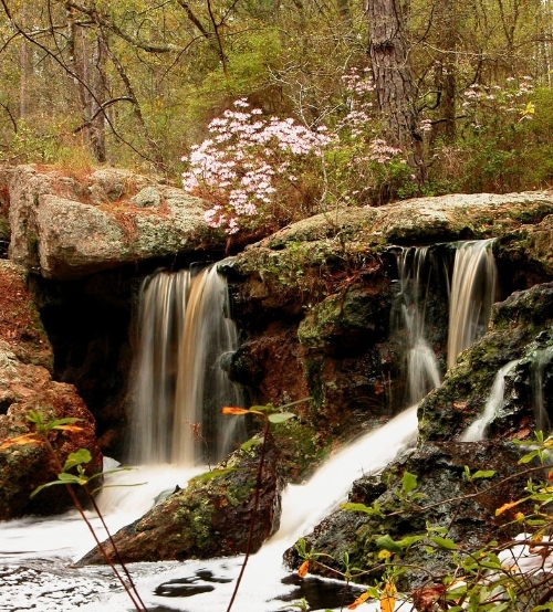 6 Rare & Mysterious Landscapes in Georgia | Official Georgia Tourism ...