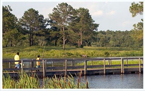 Adel in South Georgia | Explore Georgia