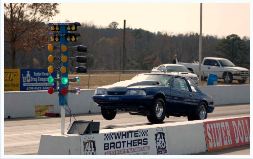 Reynolds | Explore Georgia