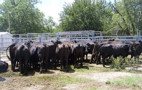 The Rock | Explore Georgia