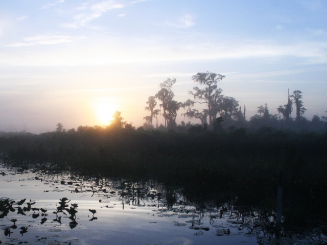 Homerville | Explore Georgia