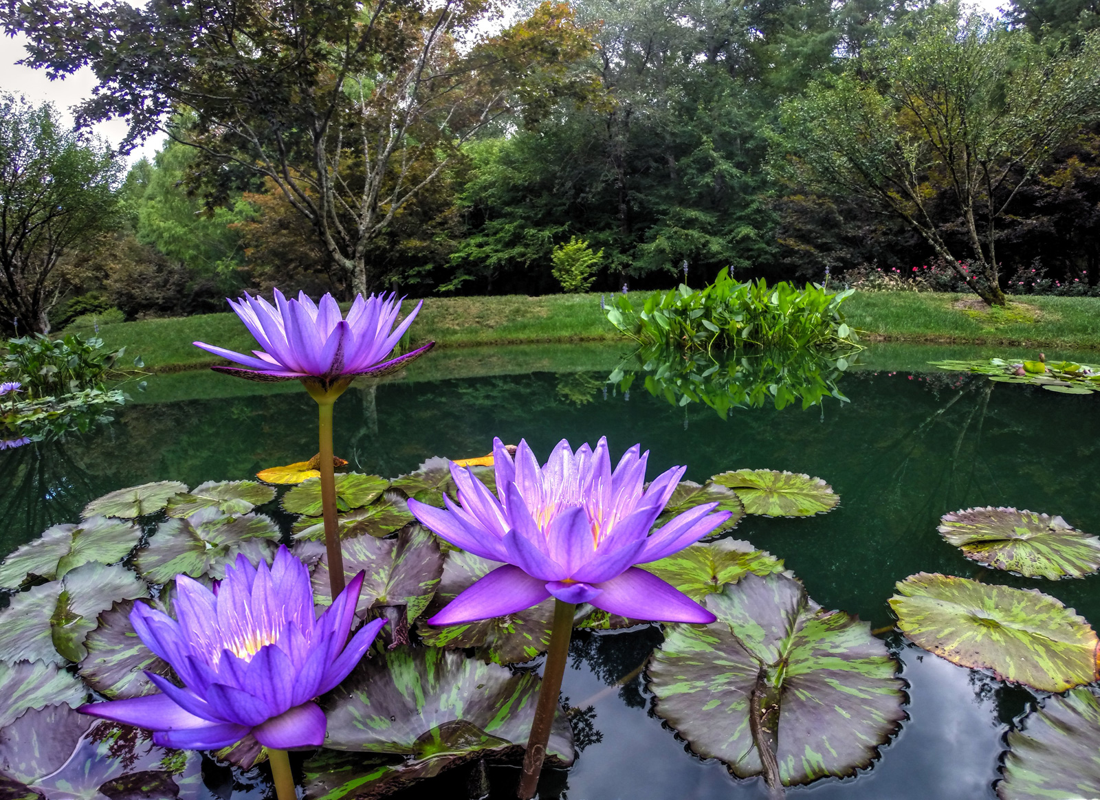 Spring & Summer | Explore Georgia