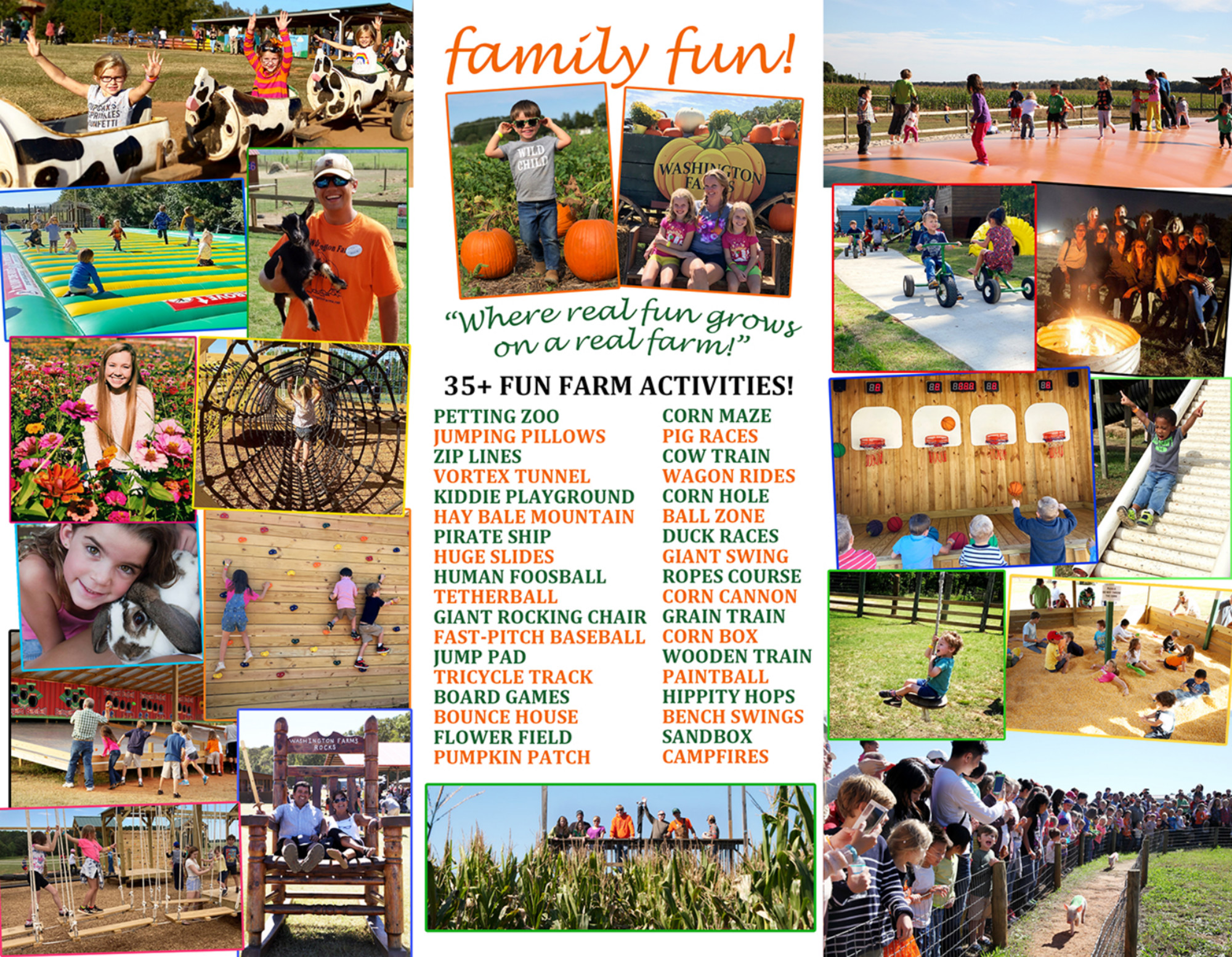 Washington Farms Trifold Brochure - Inside | Explore Georgia