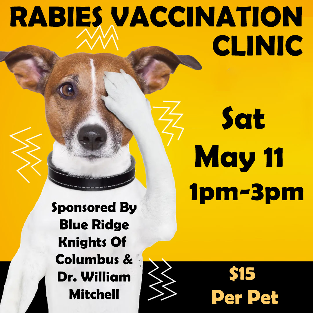 RABBIES VACCINATION CLINIC @ SWAN DRIVE-IN THEATRE & DINER | Official ...
