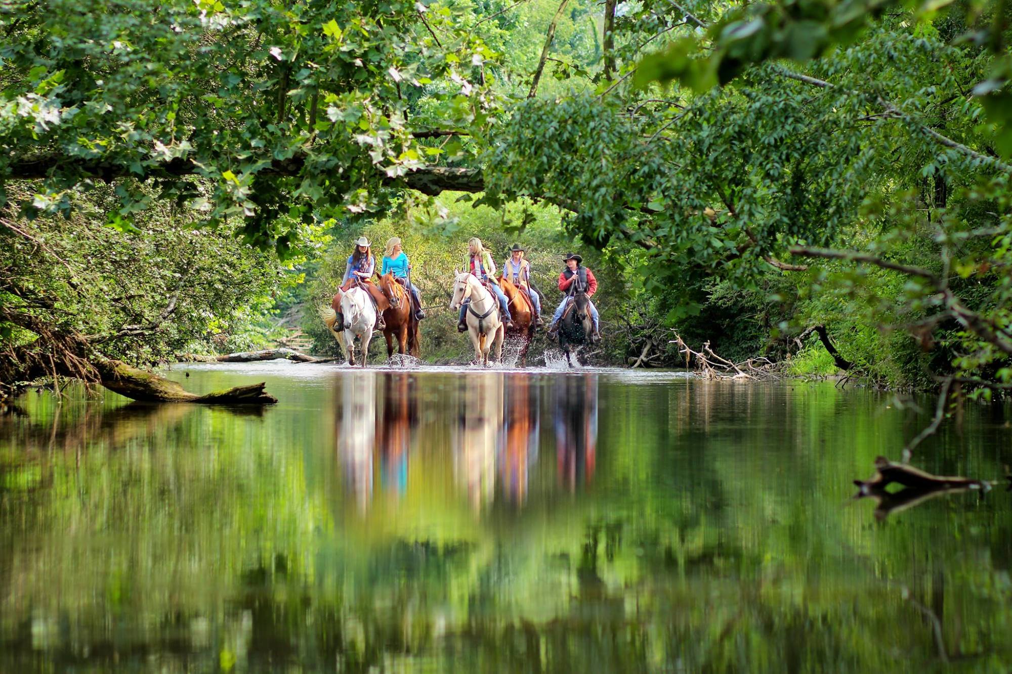 Dillard House Stables | Explore Georgia