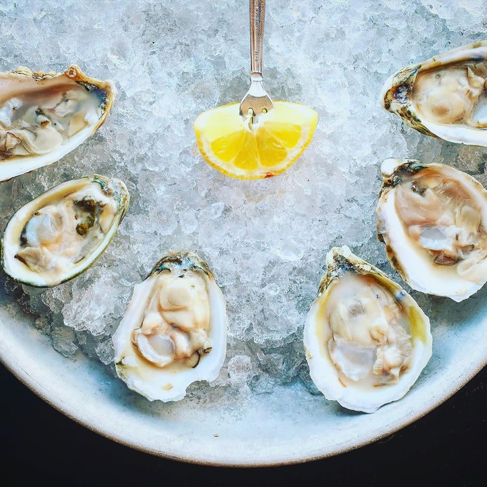 One Eared Stag | Explore Georgia