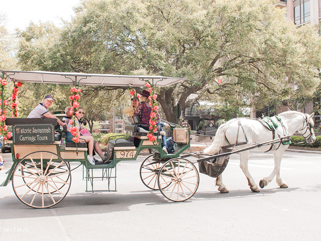 Historic Savannah Carriage Tours | Explore Georgia