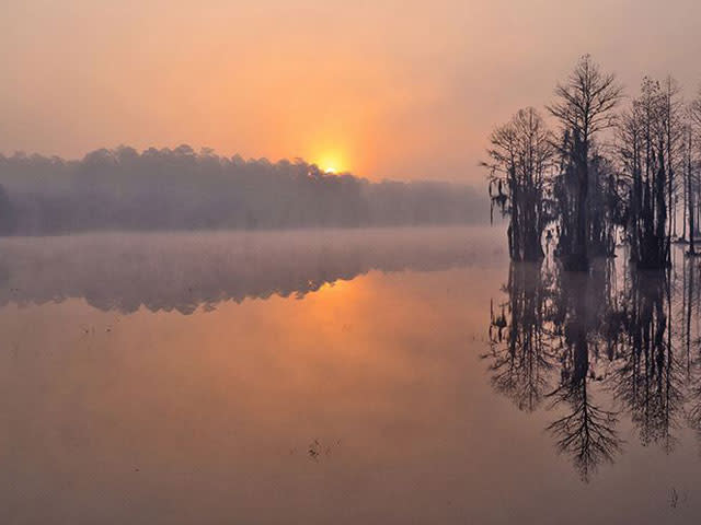 Waycross Things to Do | Explore Georgia