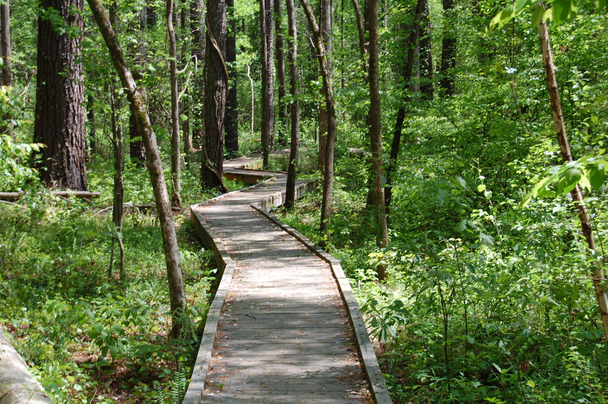 Autrey Mill Nature Preserve and Heritage Center | Official Georgia ...