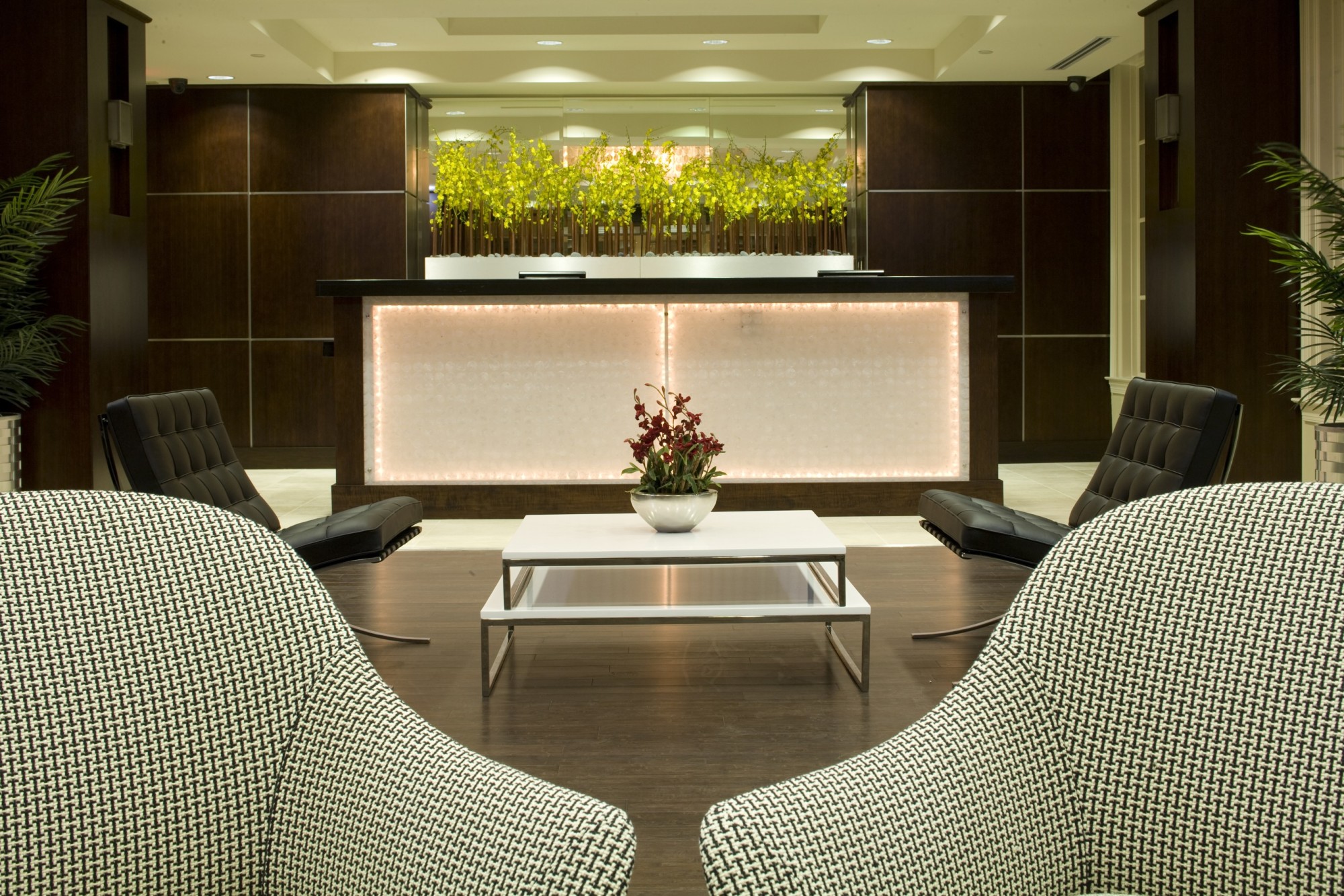 The Ellis Hotel | Explore Georgia