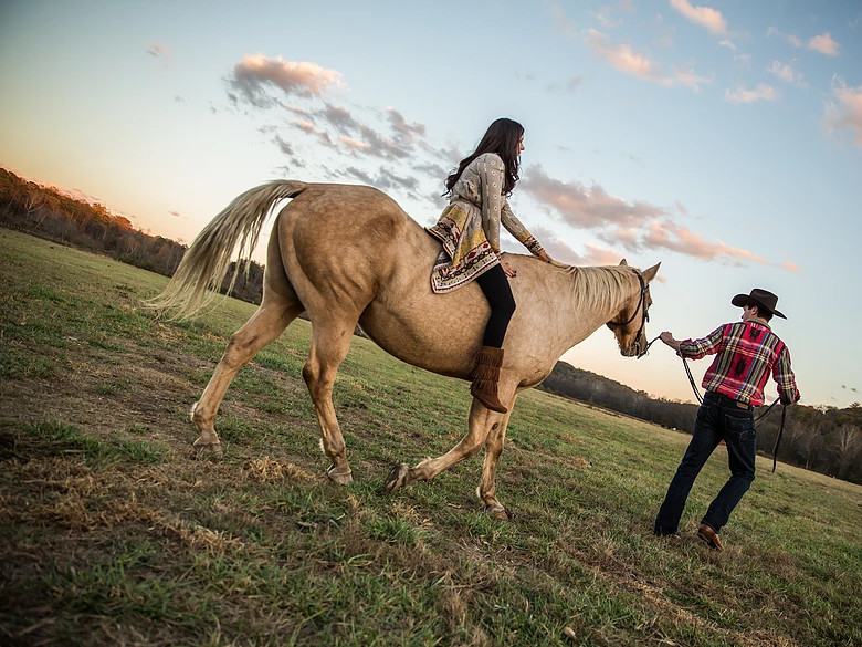 Chattahoochee Stables | Explore Georgia