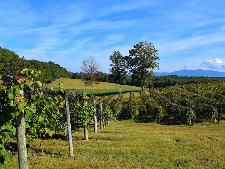 Talking Rock Things to Do | Explore Georgia