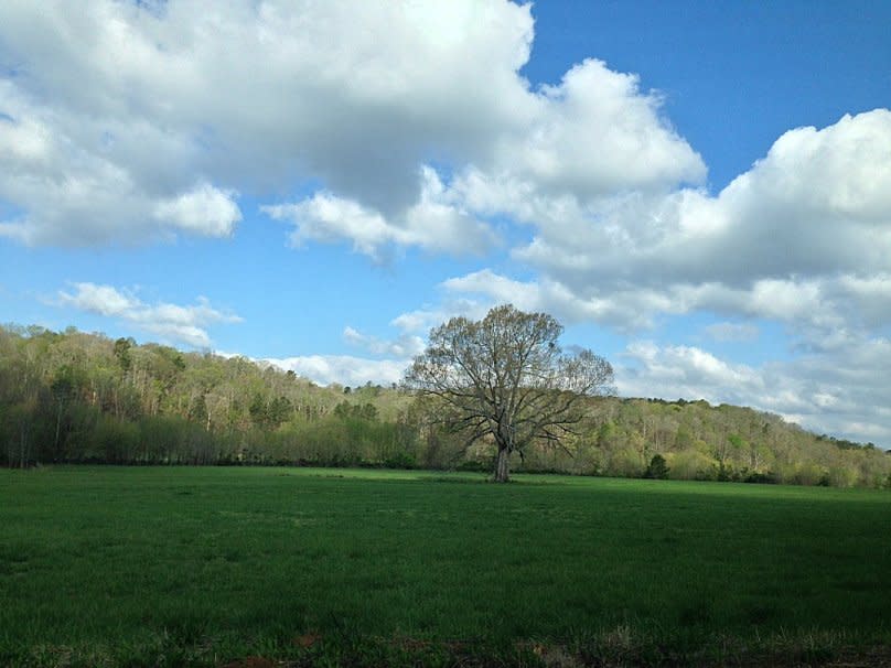 Resaca Battlefield Historic Site | Explore Georgia