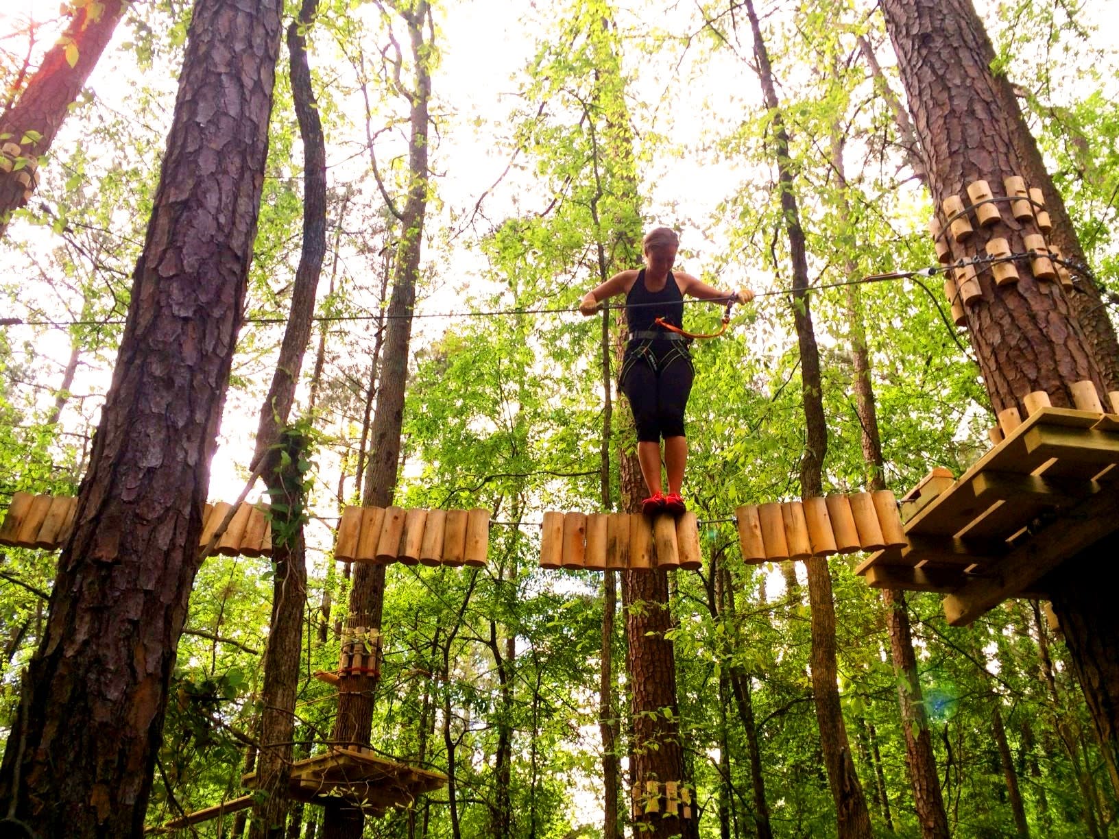 Treetop Quest Dunwoody | Official Georgia Tourism & Travel Website ...