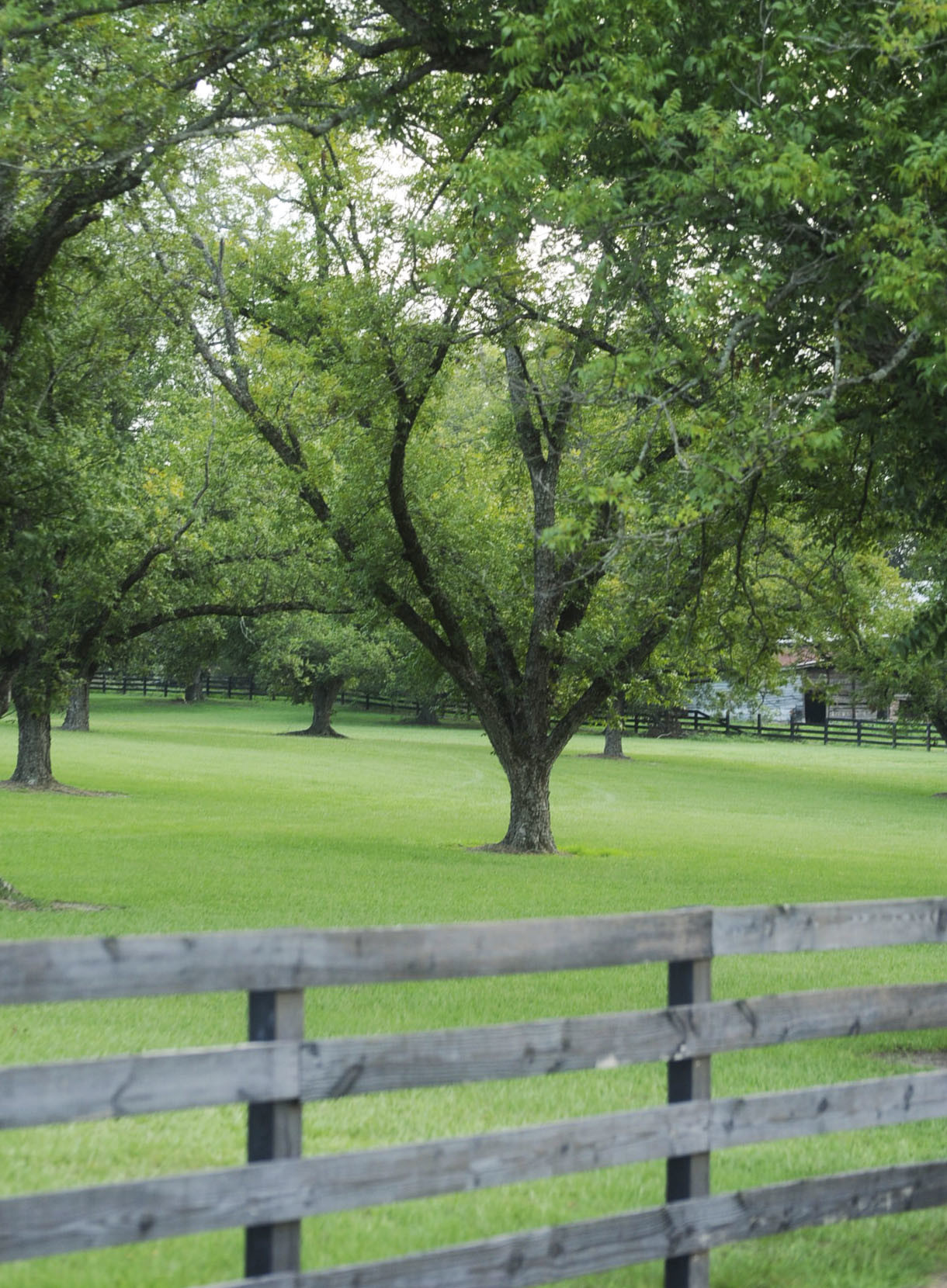 Pearson Farm | Explore Georgia
