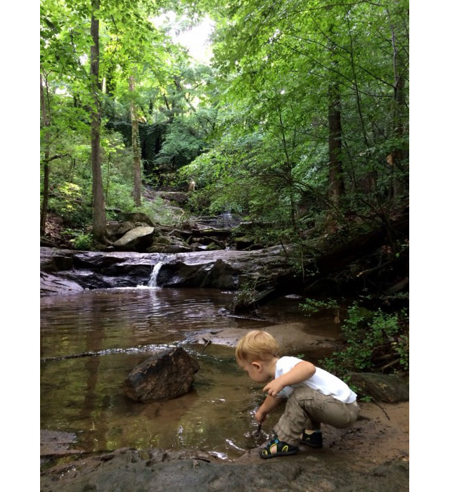 Cascade Springs Nature Preserve Photos at Edna Mondragon blog