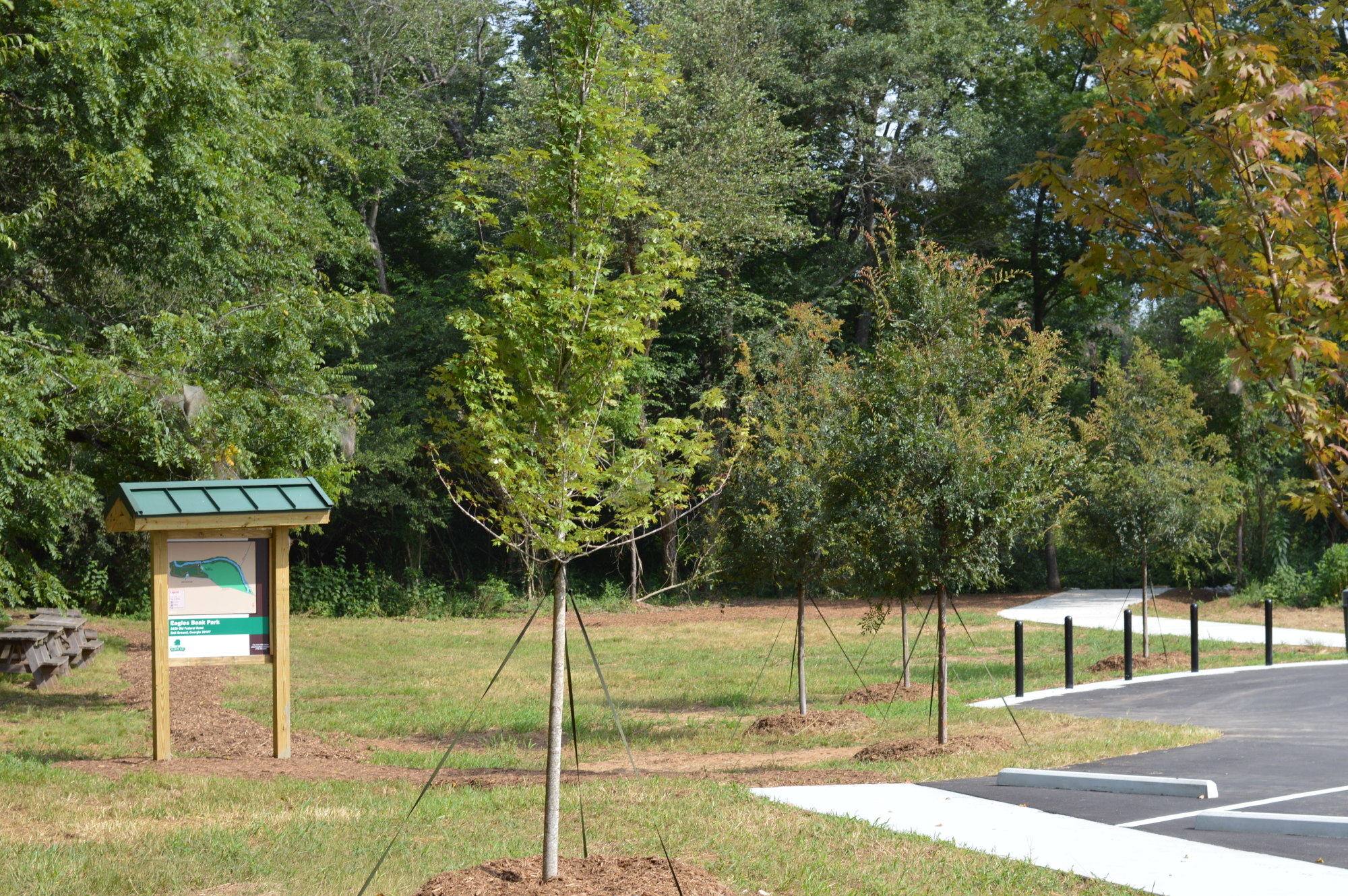 Eagle's Beak Park | Explore Georgia