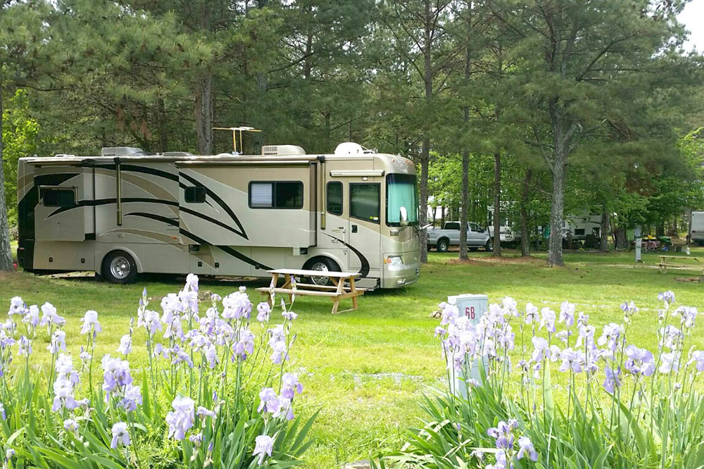 Plum Nelly RV Park | Explore Georgia
