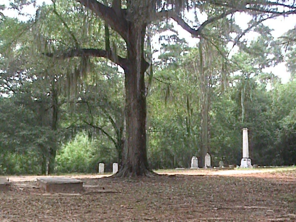 Revolutionary Cemetery | Explore Georgia
