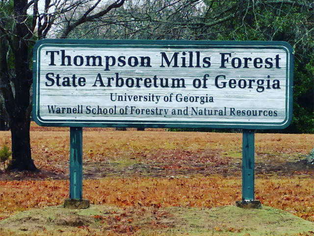 Thompson Mills Forest and State Arboretum | Explore Georgia