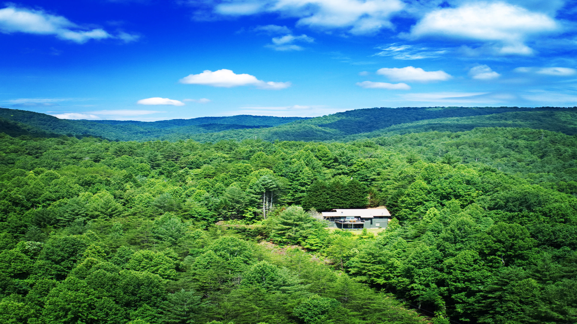 Heavenly Hollow | Official Georgia Tourism & Travel Website | Explore ...