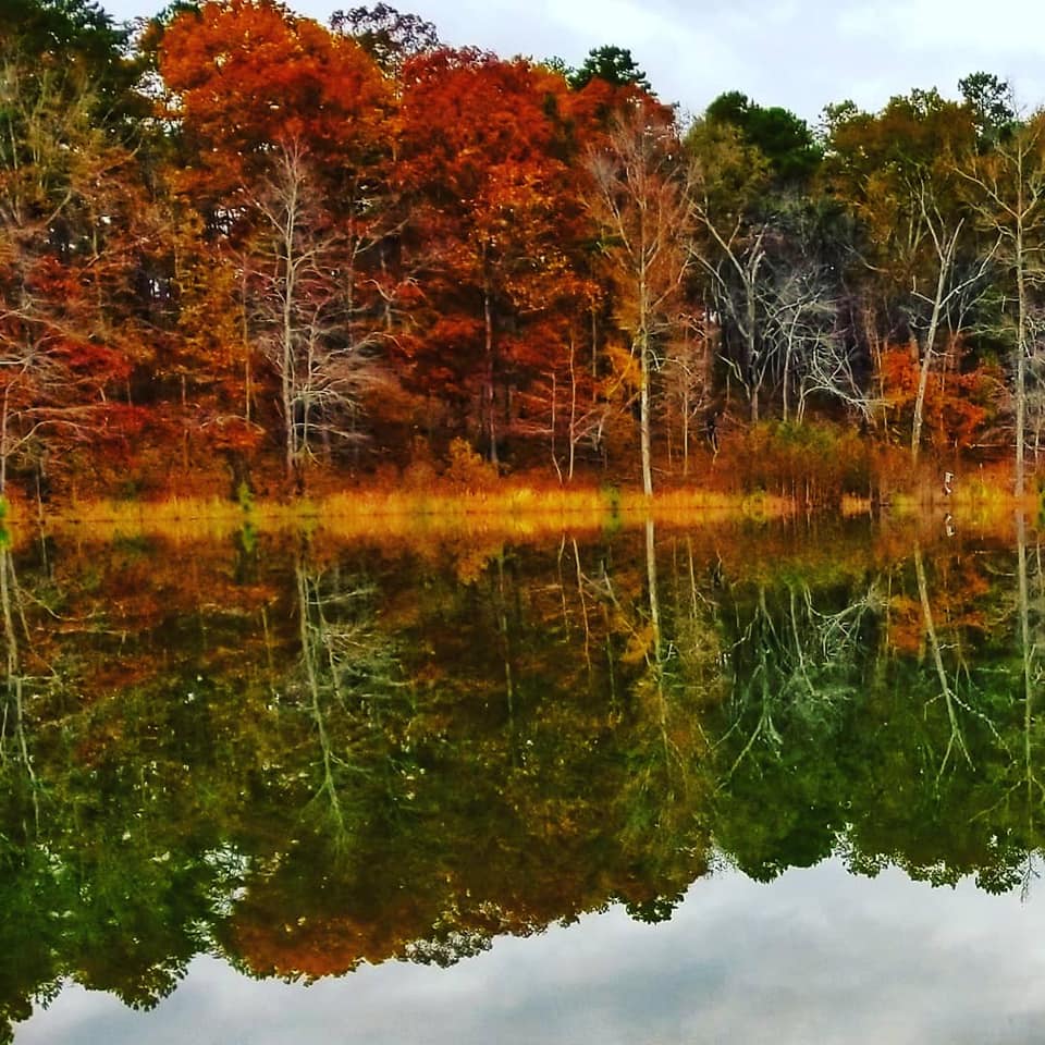 Haig Mill Lake Park | Explore Georgia