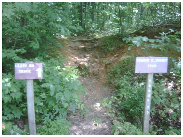 The George Disney Trail | Explore Georgia