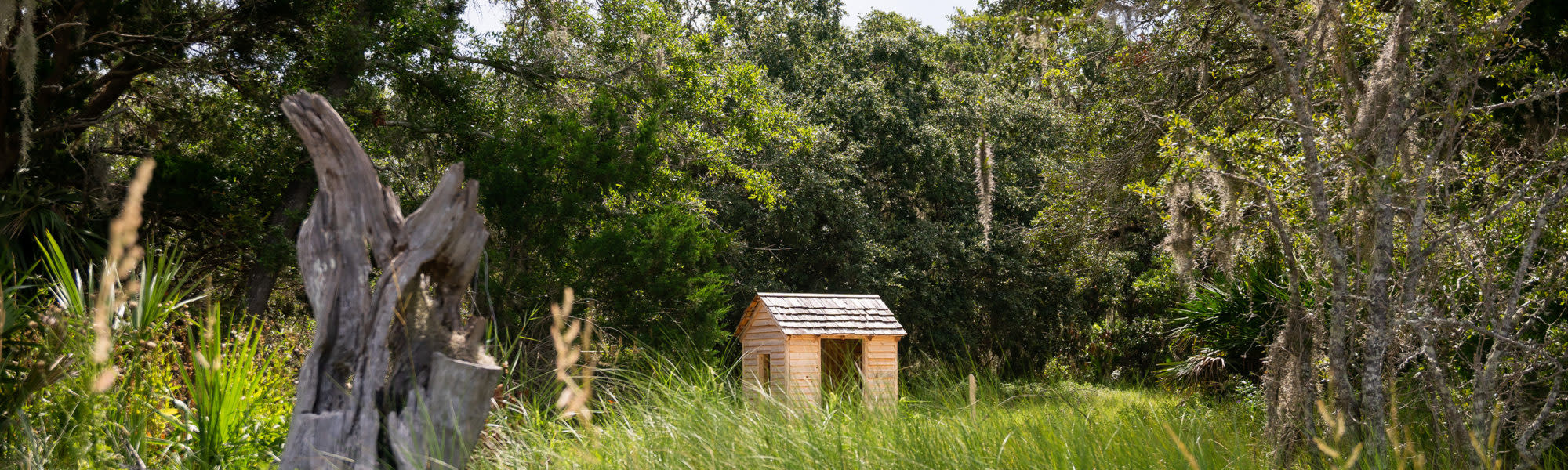 Wanderer Memory Trail | Explore Georgia