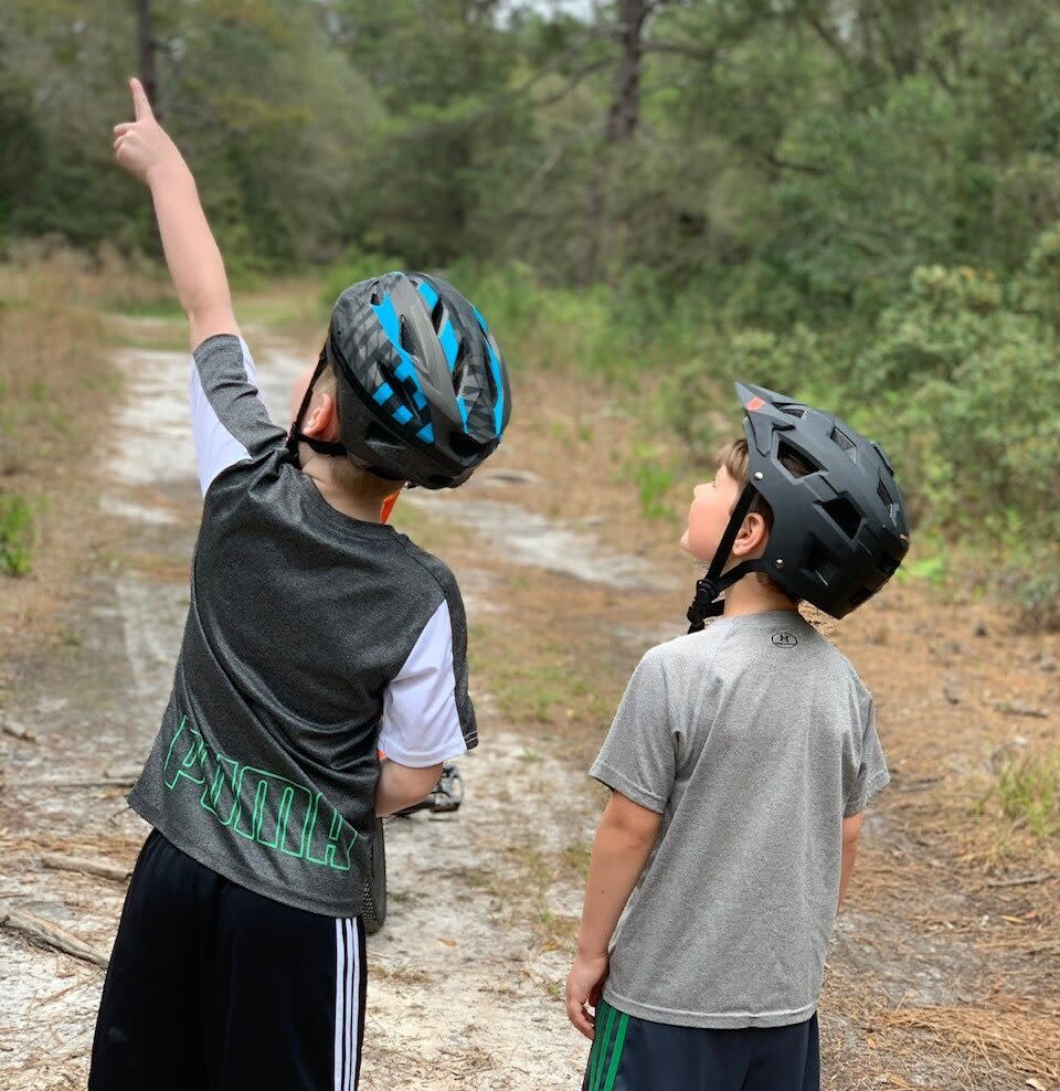 Guale Preserve | Explore Georgia