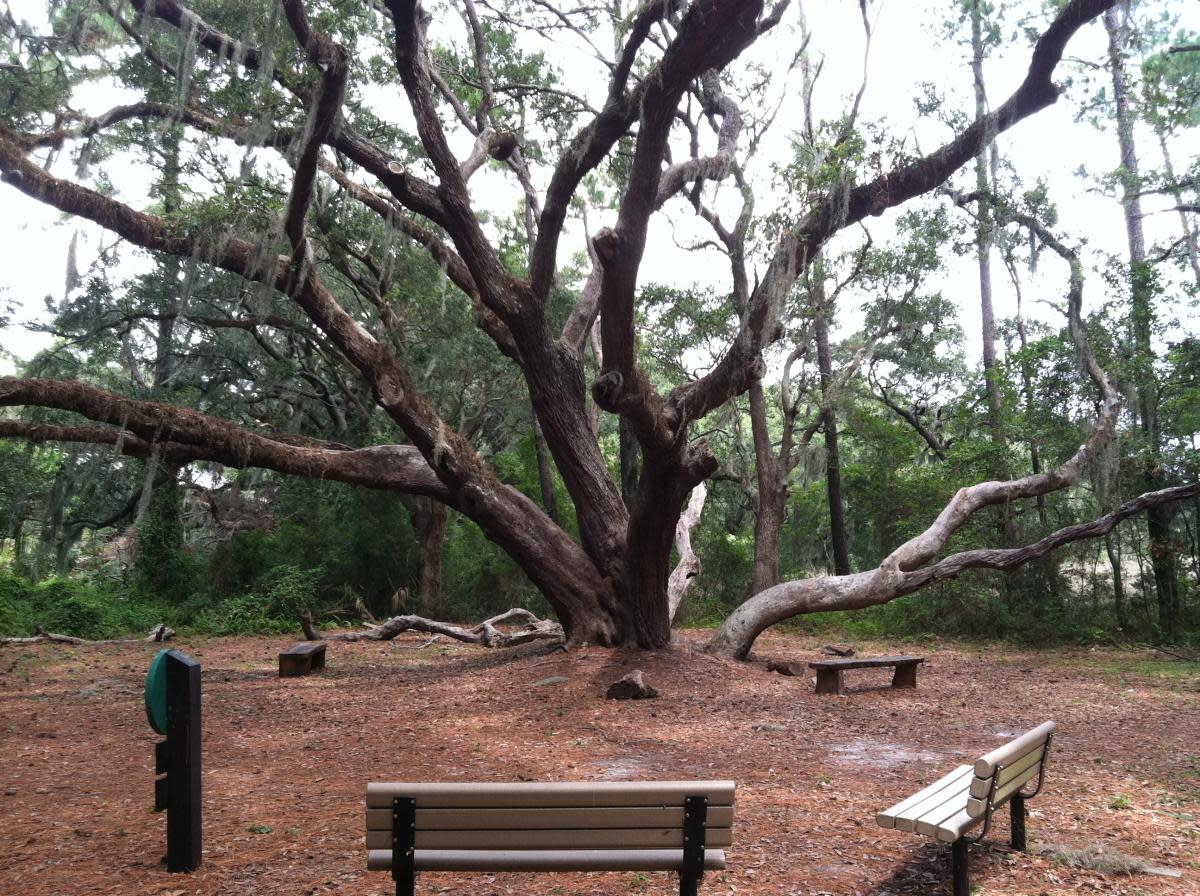 John Gilbert Nature Trail | Explore Georgia