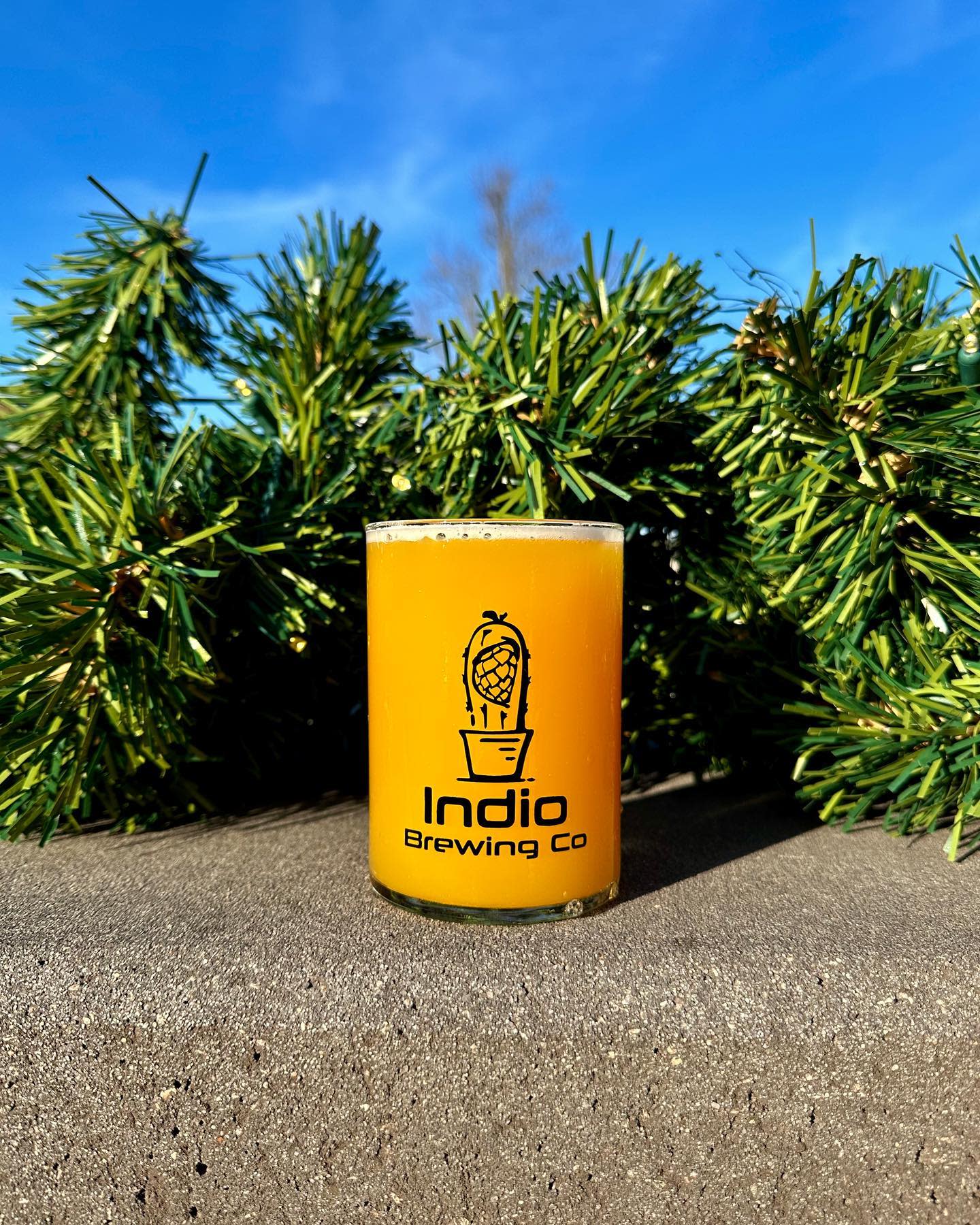 Indio Brewing | Explore Georgia