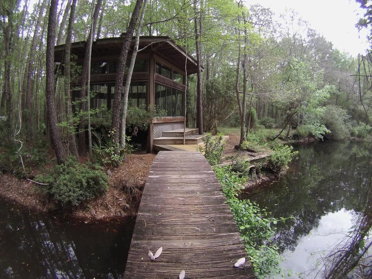 The Hostel in the Forest | Explore Georgia