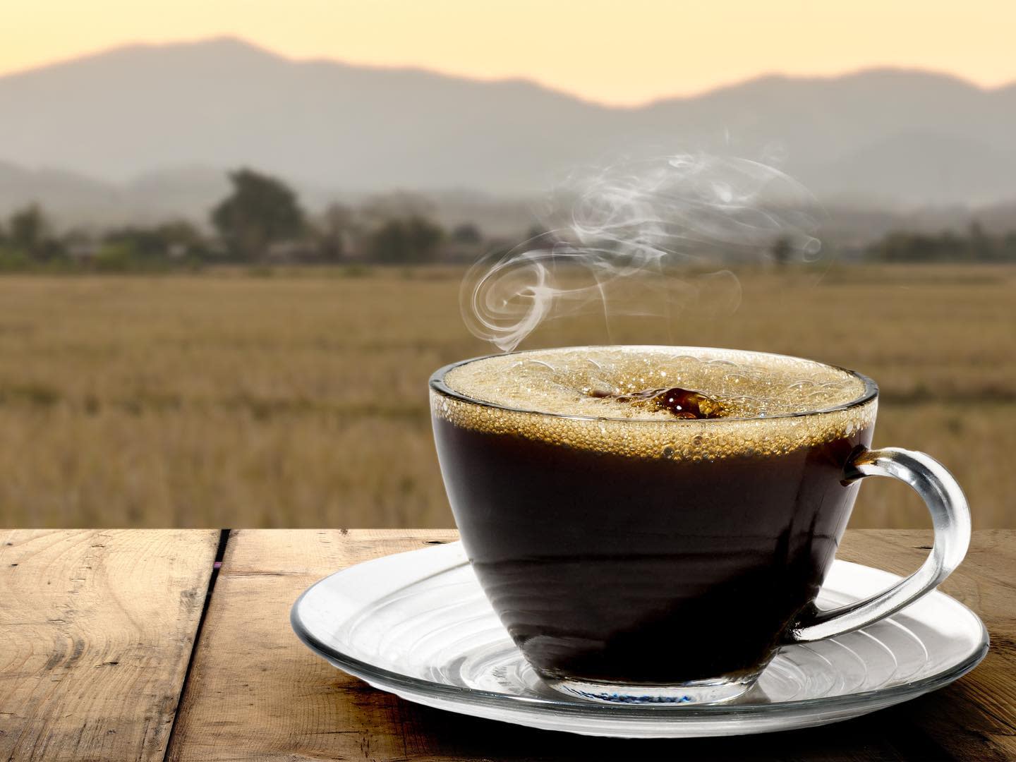 Abide Coffee | Explore Georgia