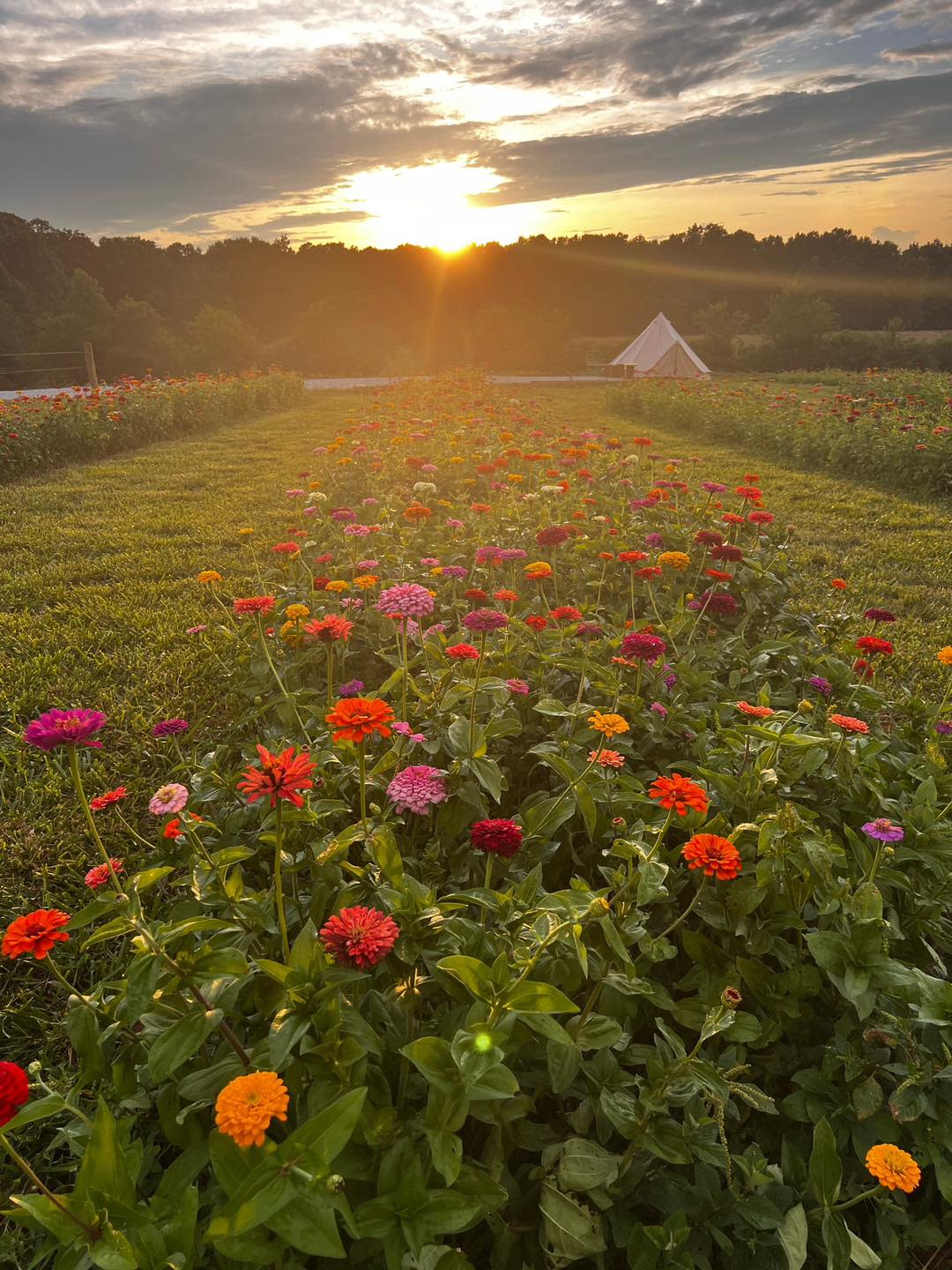 Big Hart Farm | Explore Georgia