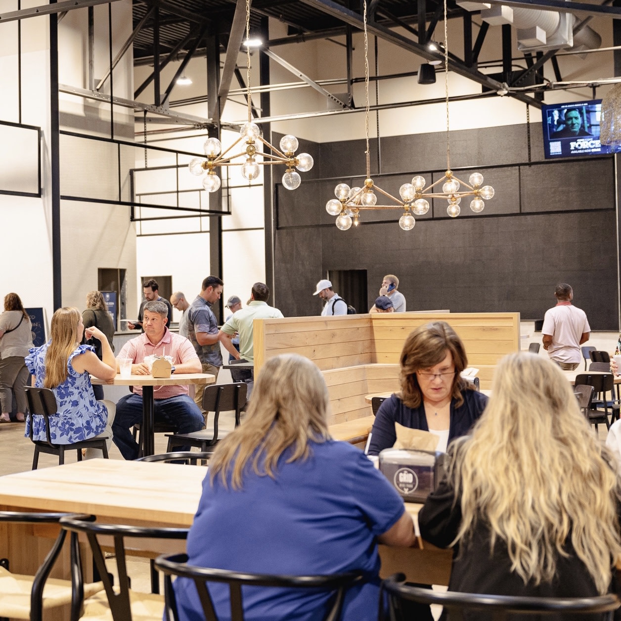 Wire Park | Explore Georgia