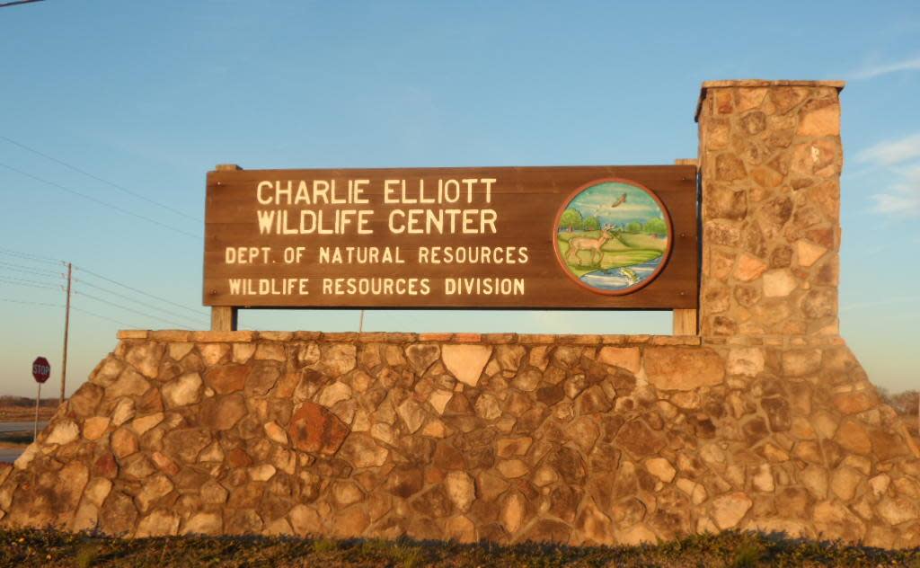 Charlie Elliott Wildlife Center | Explore Georgia